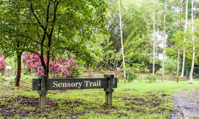 Pulau Ubin: Exploring Singapore's Untouched Gem